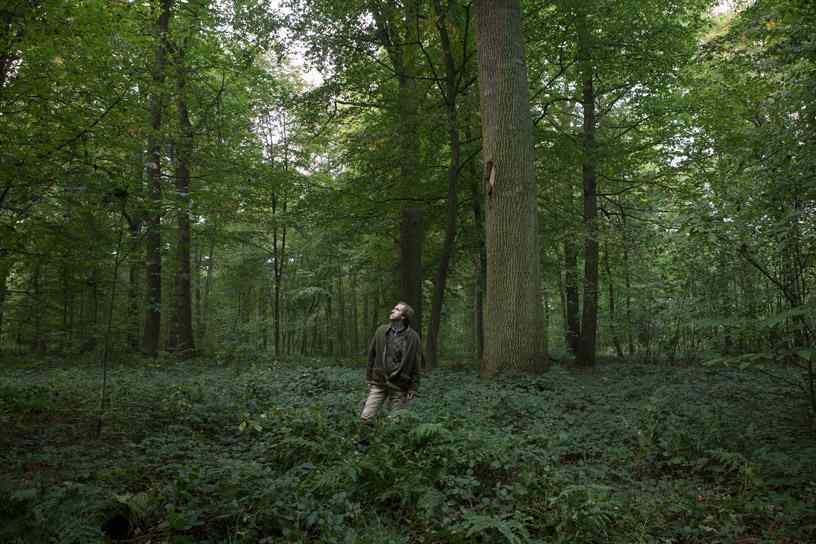 Reforest Action, plateforme de plantation participative