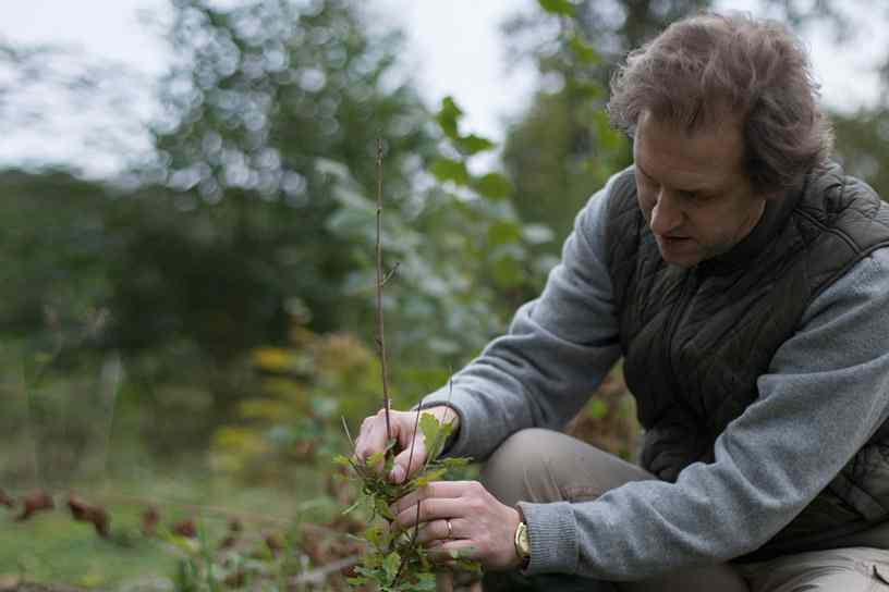 Reforest Action, plateforme de plantation participative